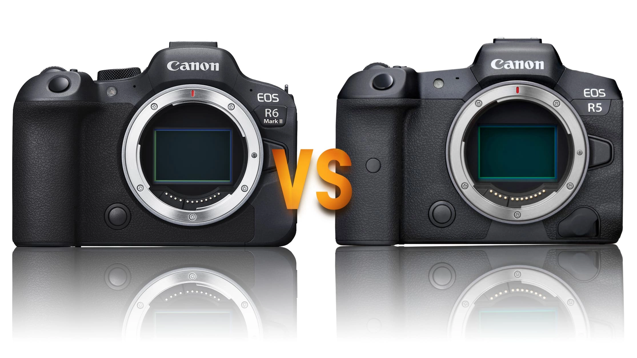 Canon EOS R6 II Vs EOS R5 Sanal Sergi Canon EOS R6 II Vs EOS R5 Sanal Sergi