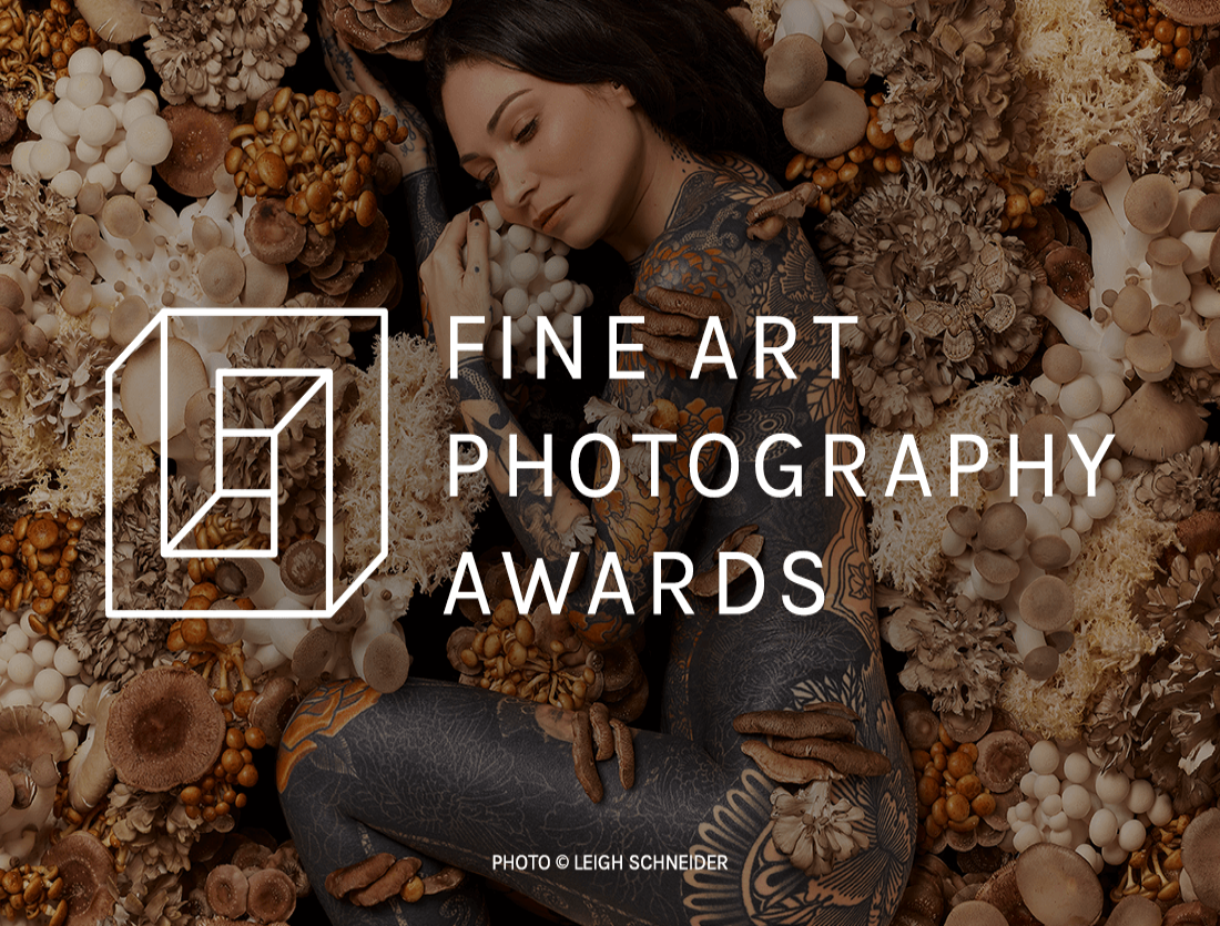 fine art photography awards 2026 header - Sanal Sergi